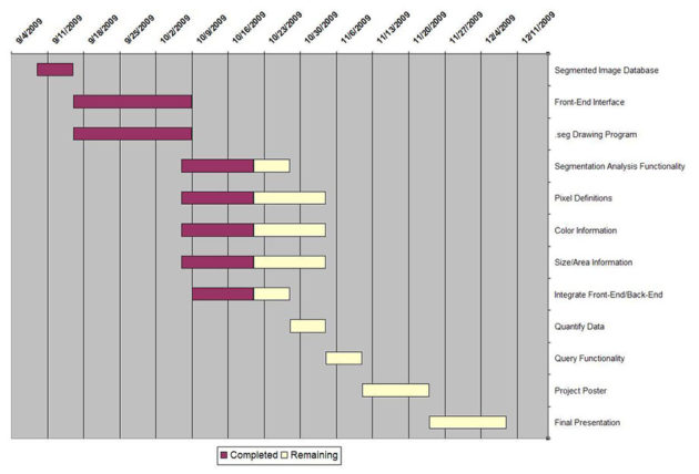 10 Types of Charts & Diagrams for Better Project Management